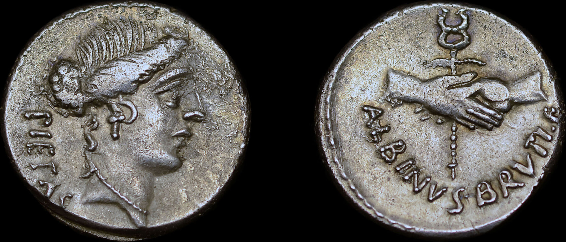 ANCIENT ROME 48 BC D. IUNIUS BRUTUS ALBINUS, SILVER DENARIUS | MA-Shops