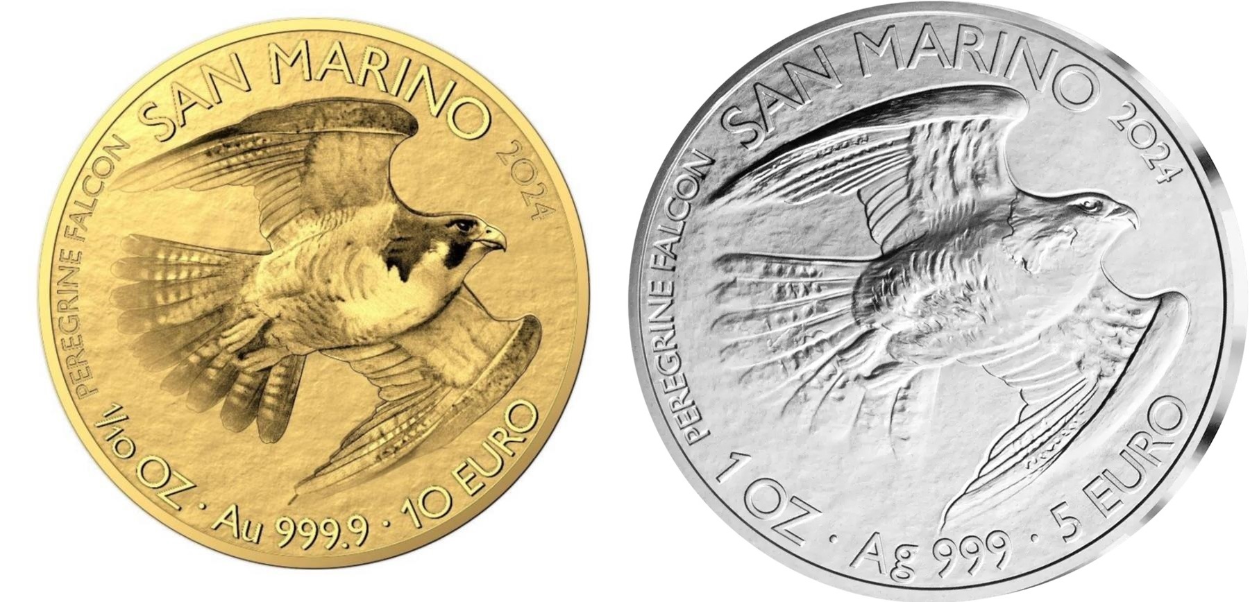 San Marino 10 €+5 € sofort lieferbar!!! 2024 Wanderfalke 1/10 oz. / 1 ...
