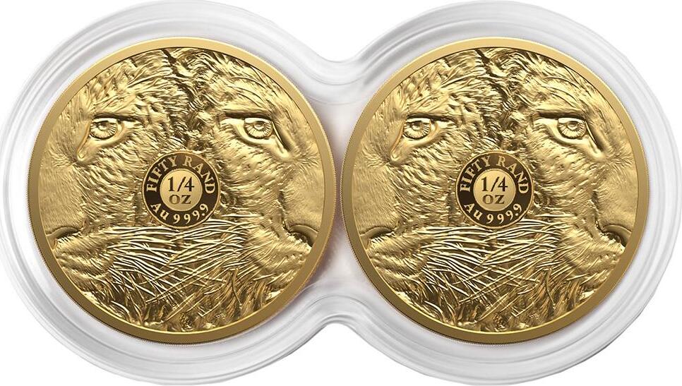 Südafrika 100 Rand 2023 2 x 1/4 oz Goldmünzen Big Five II - Leopard ...