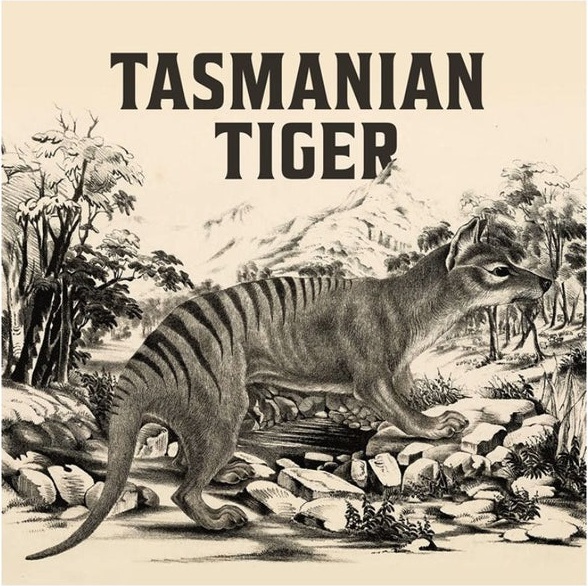 Niue 100$ 2026 1 oz Goldmünze Tasmanischer Tiger PP | MA-Shops