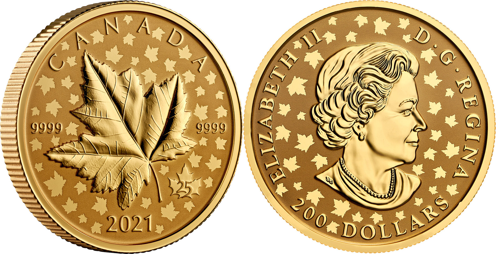 Kanada 200$ 2021 1 oz Goldmünze Maple Leaf - Piedfort Reverse Proof ...