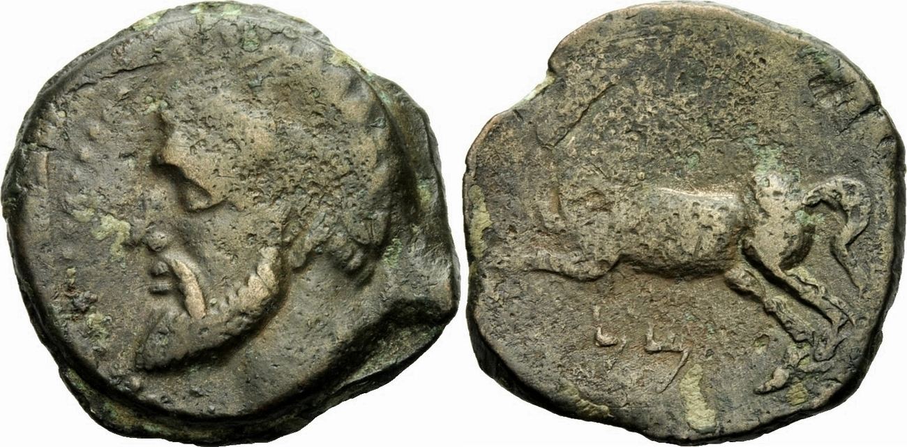 Massinissa Micipsa König Numidien Bronze 203-118 Pferd Punisch MN SNG ...